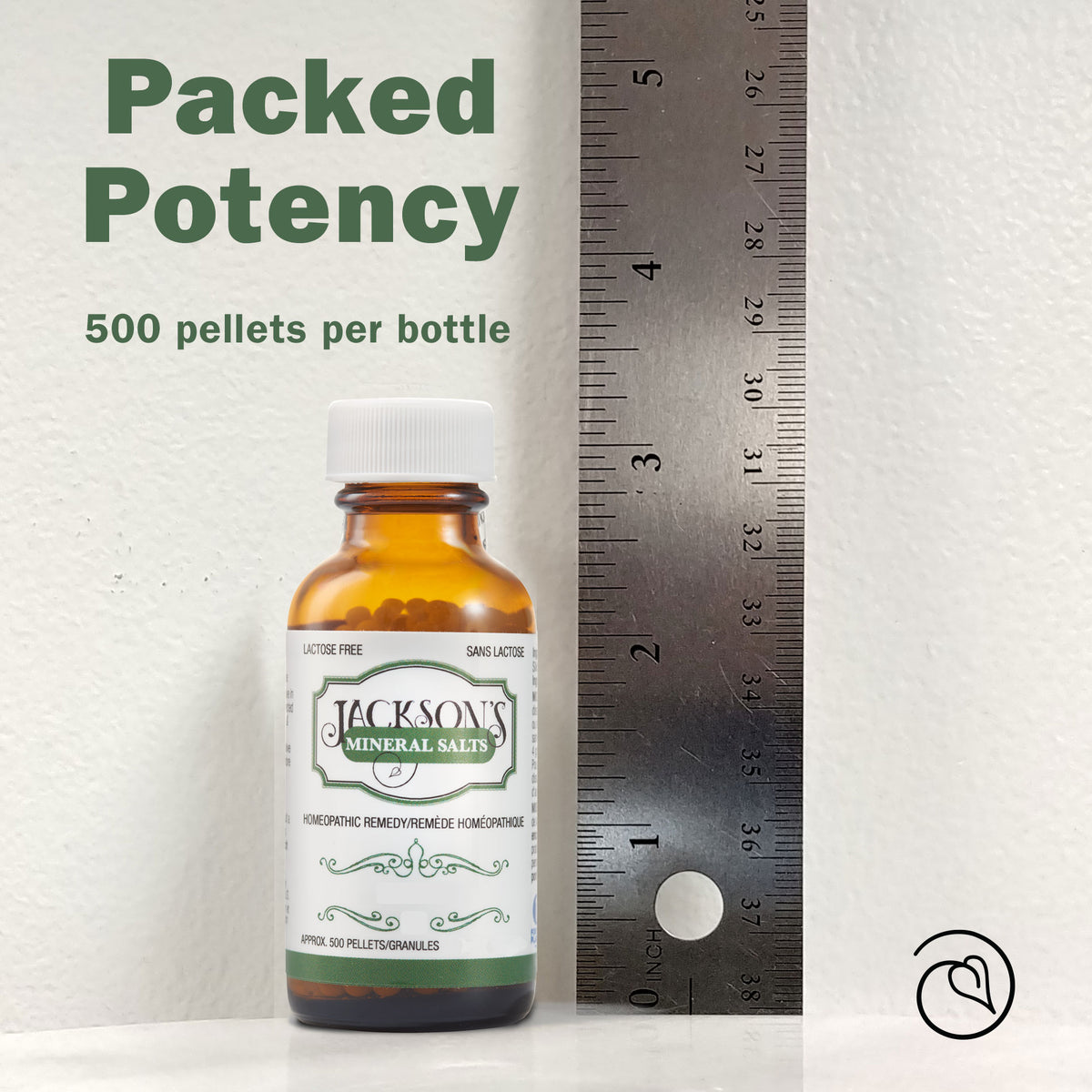 12 Cell Salt Kit - Certified Vegan, Lactose-Free Schuessler Salts in 6 ...